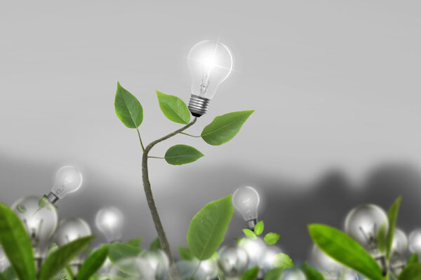 10 Contoh Inovasi Produk Baru yang Laris Dijual Tahun Ini! | MARKEY