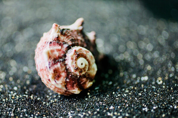 Wirausaha Sukses : 7 Tokoh Kisah Sukses Wirausaha | MARKEY