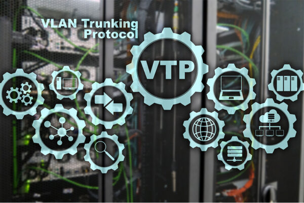Pengertian Trunk : Fungsi dan Penjelasan tentang Trunk Link | MARKEY